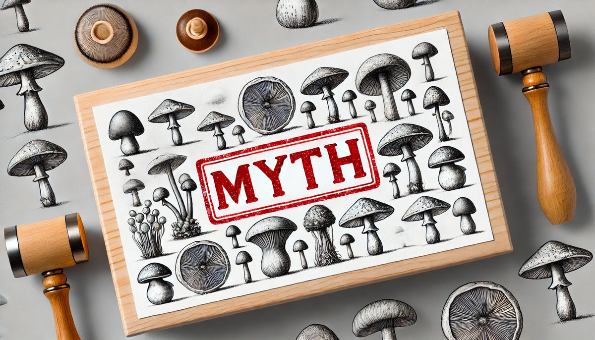 9 Mushroom Myths Debunked: Separating Fact from Fiction – R&R Cultivation