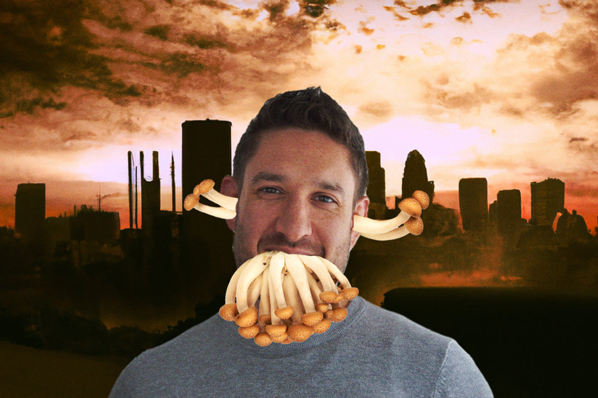 Could Mushrooms Really Cause a Zombie Apocalypse? – R&R Cultivation