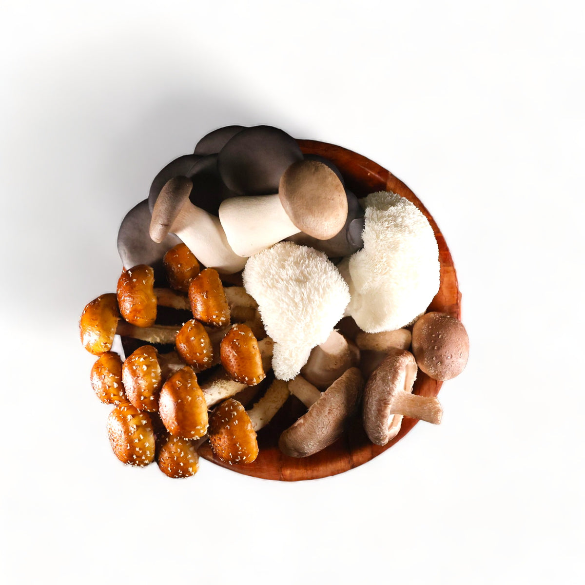 Wild Mushroom Mix - R&R Cultivation