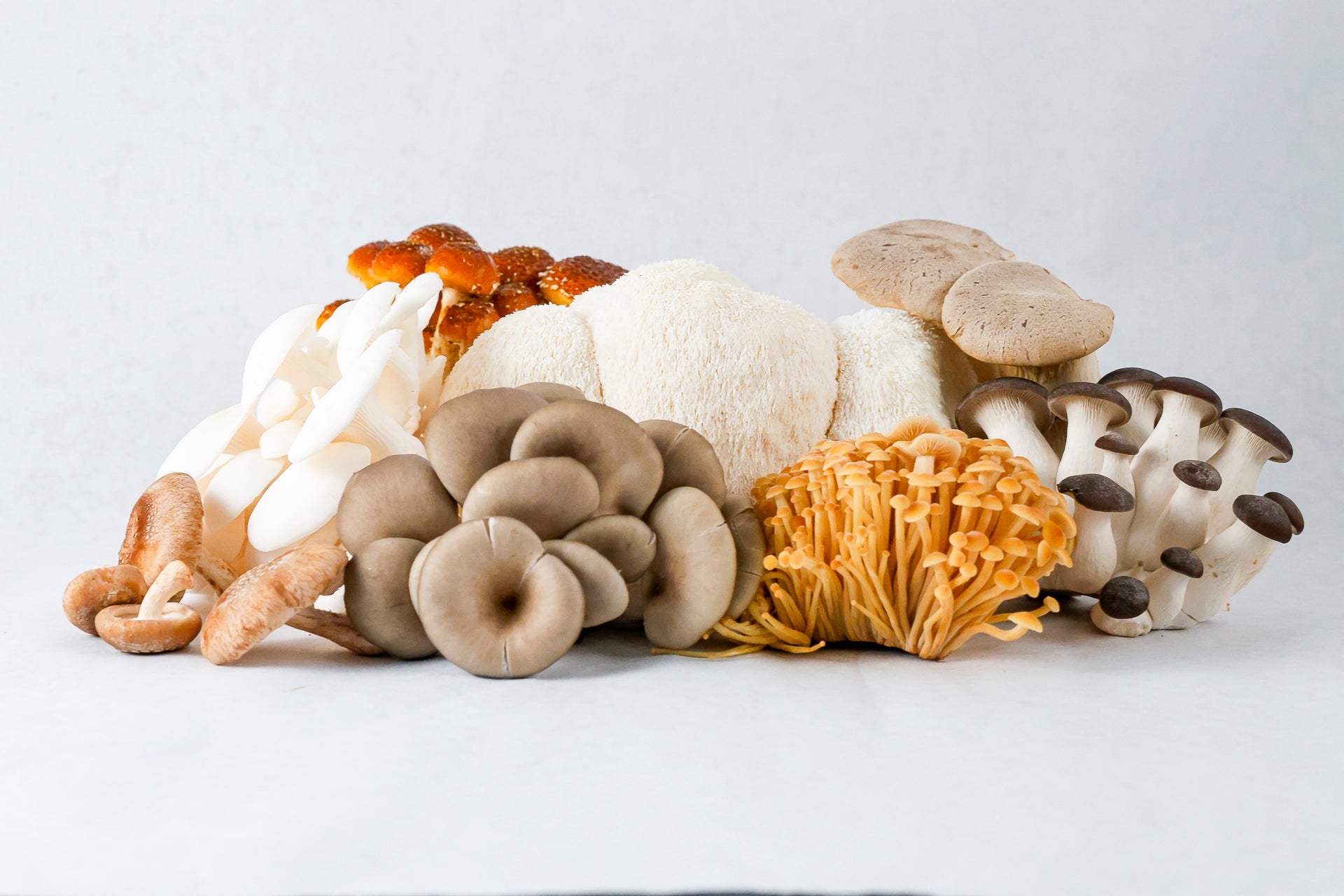 Minnesota Mushroom Grower - Buy Fresh, Gourmet Mushrooms in MN – R&R ...