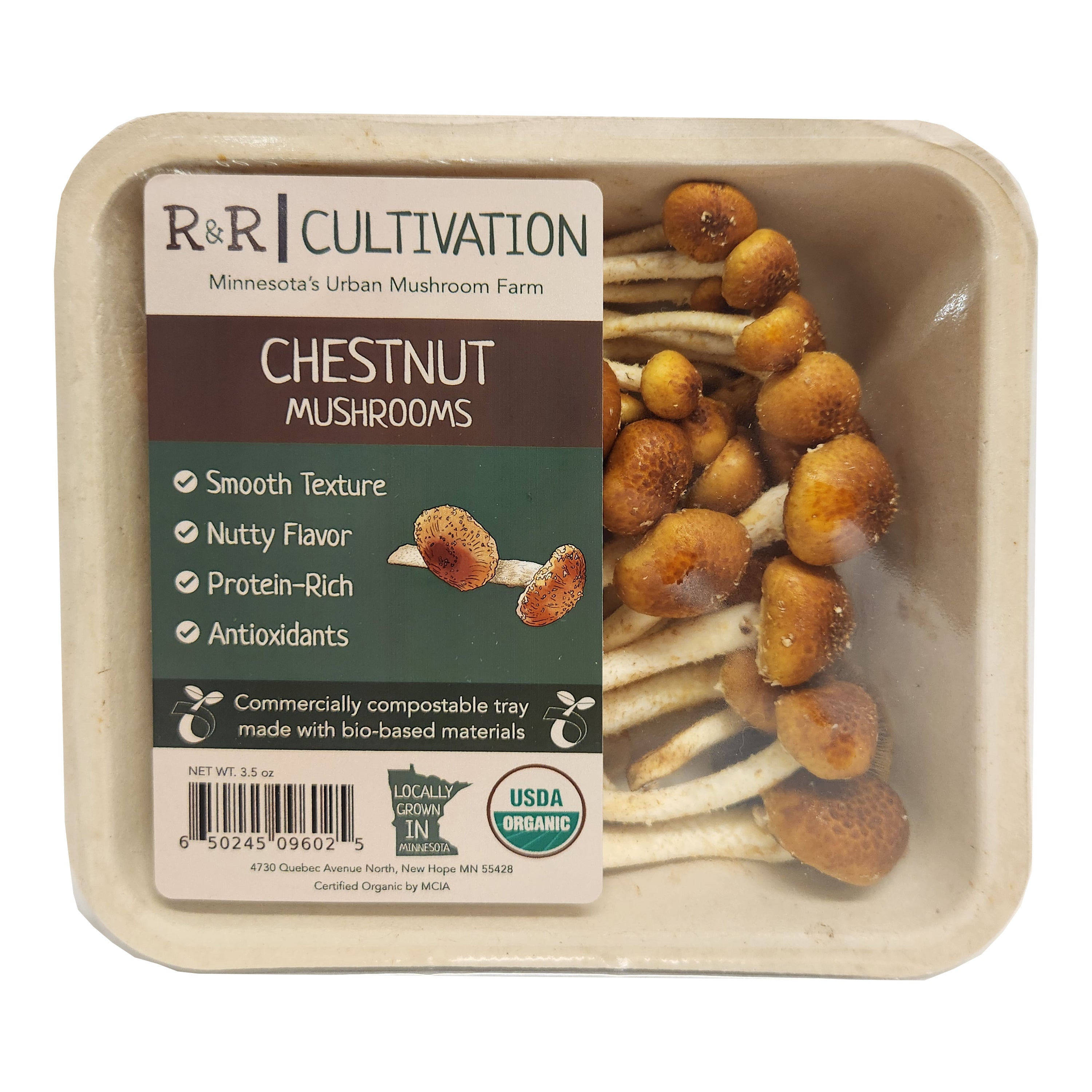 Chestnut Mushrooms | Minnesota Mushrooms | R&R Cultivation